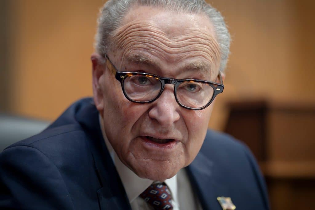 Chuck Schumer Has a Plan to Win Back the Senate. But Some Democrats ...